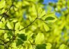 What Is Air Made Of? The Gases Around Us Explained